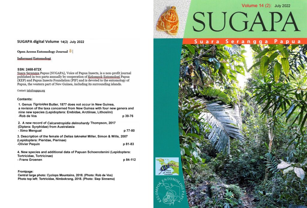 Covers | SUGAPA digital
